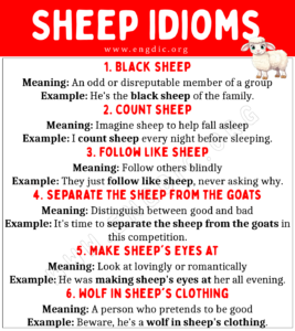 Sheep Idioms (With Meaning and Examples) - EngDic
