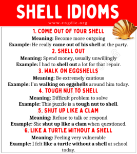 Shell Idioms (With Meaning and Examples) - EngDic