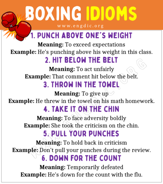 Boxing Idioms (With Meaning and Examples) - EngDic