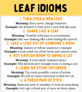 Leaf Idioms (With Meaning and Examples) - EngDic