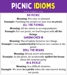 Picnic Idioms (With Meaning and Examples) - EngDic