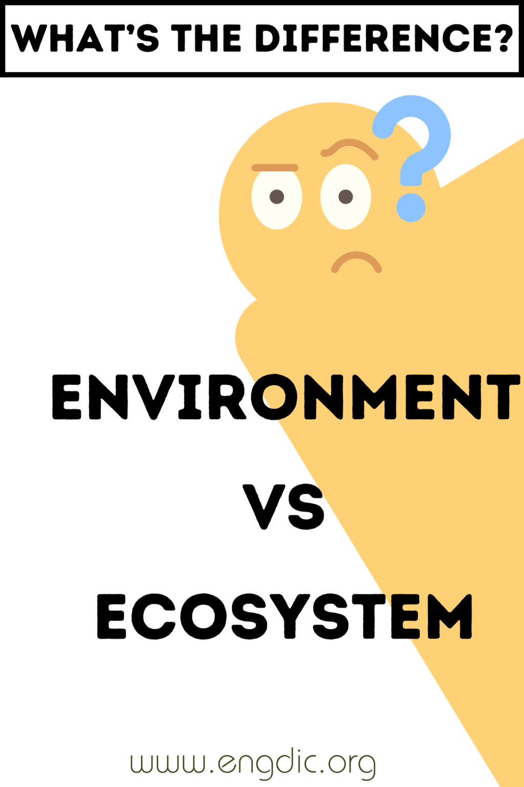 Environment vs Ecosystem (What's the Difference?) - EngDic