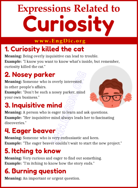 Learn 20 Expressions Related to Curiosity - EngDic