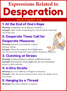 Learn 20 Expressions Related to Desperation - EngDic