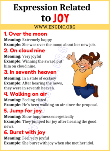 Learn 20 Expressions Related to Joy - EngDic
