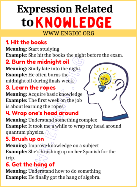 Learn 20 Expressions Related to Knowledge - EngDic