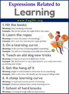 Learn 20 Expressions Related to Learning - EngDic