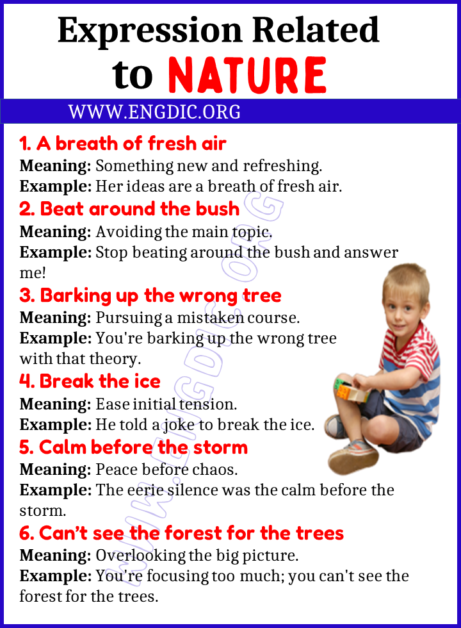 Learn 20 Expressions Related to Nature - EngDic