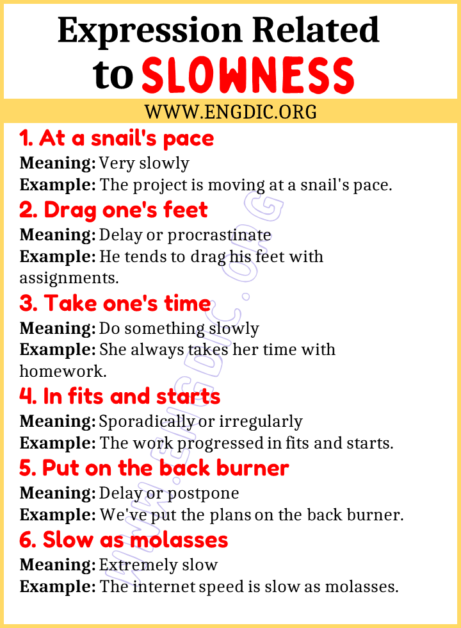 Learn 20 Expressions Related to Slowness - EngDic