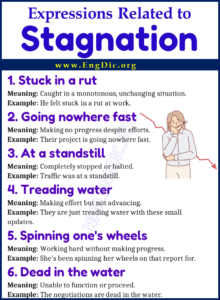 Learn 20 Expressions Related to Stagnation - EngDic