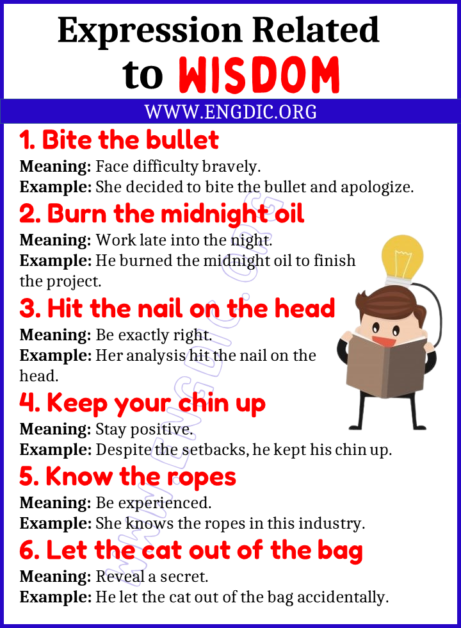 Learn 20 Expressions Related to Wisdom - EngDic