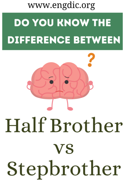 Half Brother Vs Stepbrother Whats The Difference Engdic
